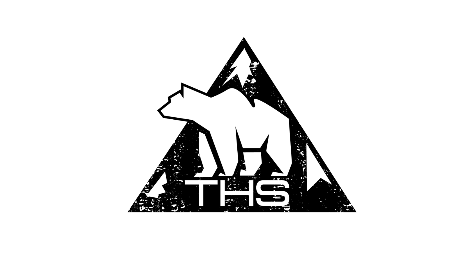 THS Cleaning and Restoration